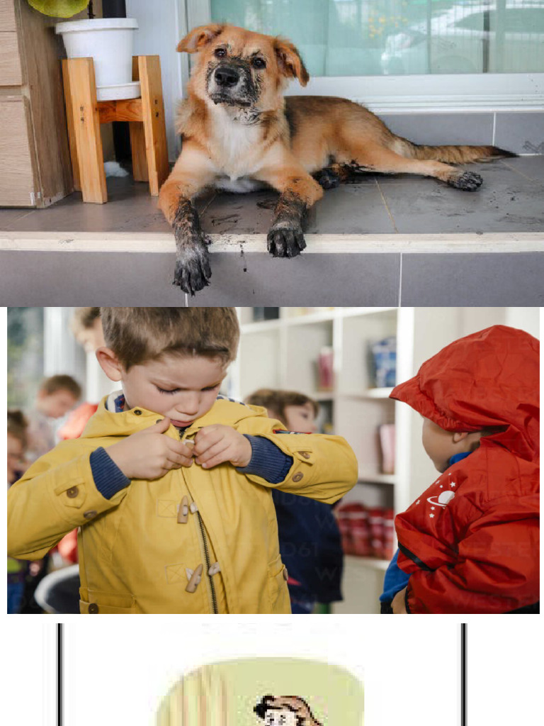 Understanding Inference and Evidence | PDF