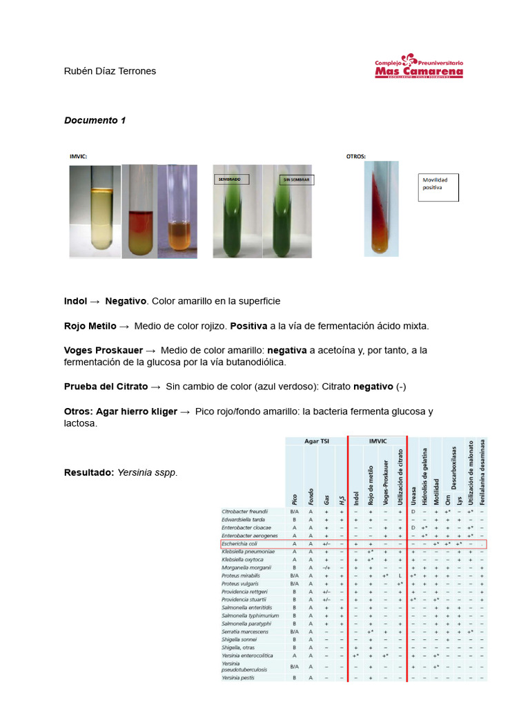 Actividad Micro Quien Es Quien | PDF