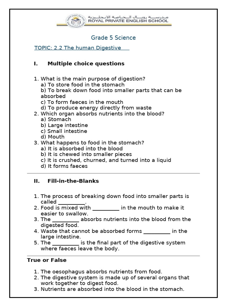 Grade 5 Digestive System Quiz | PDF | Digestion | Gastrointestinal Tract