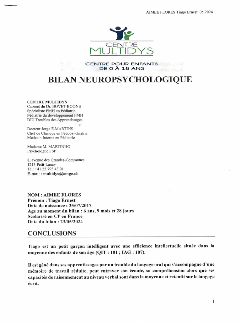 Bilan Neuropsychologique Tiago-3 | PDF