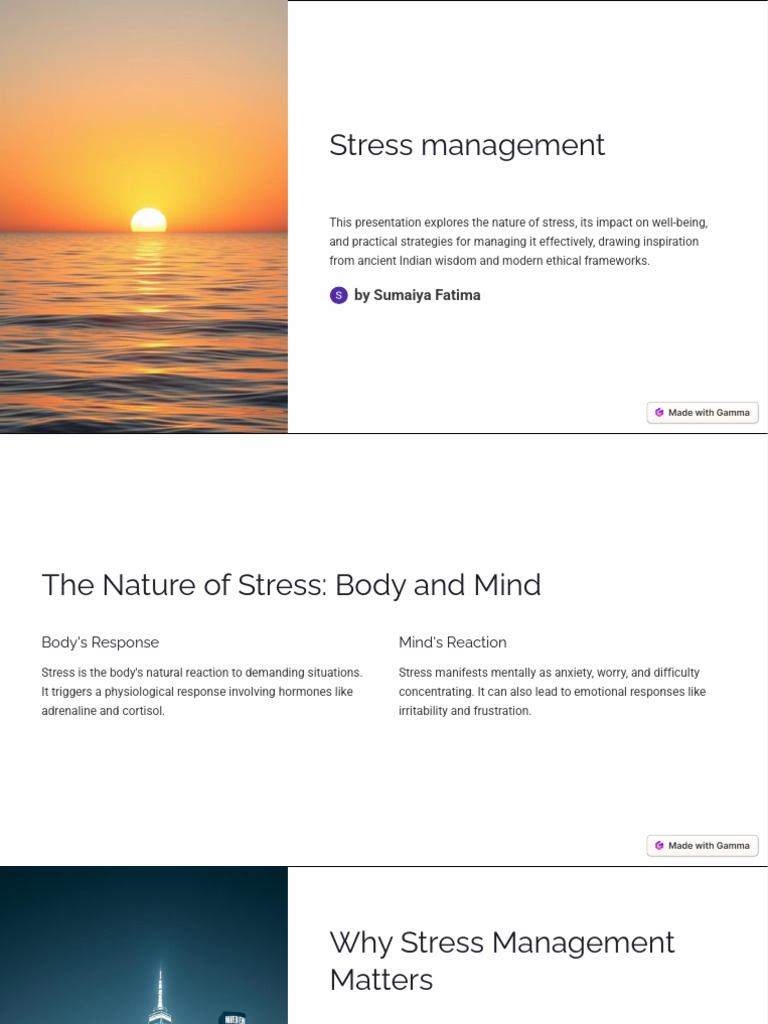 Effective Stress Management Strategies | PDF | Stress (Biology ...