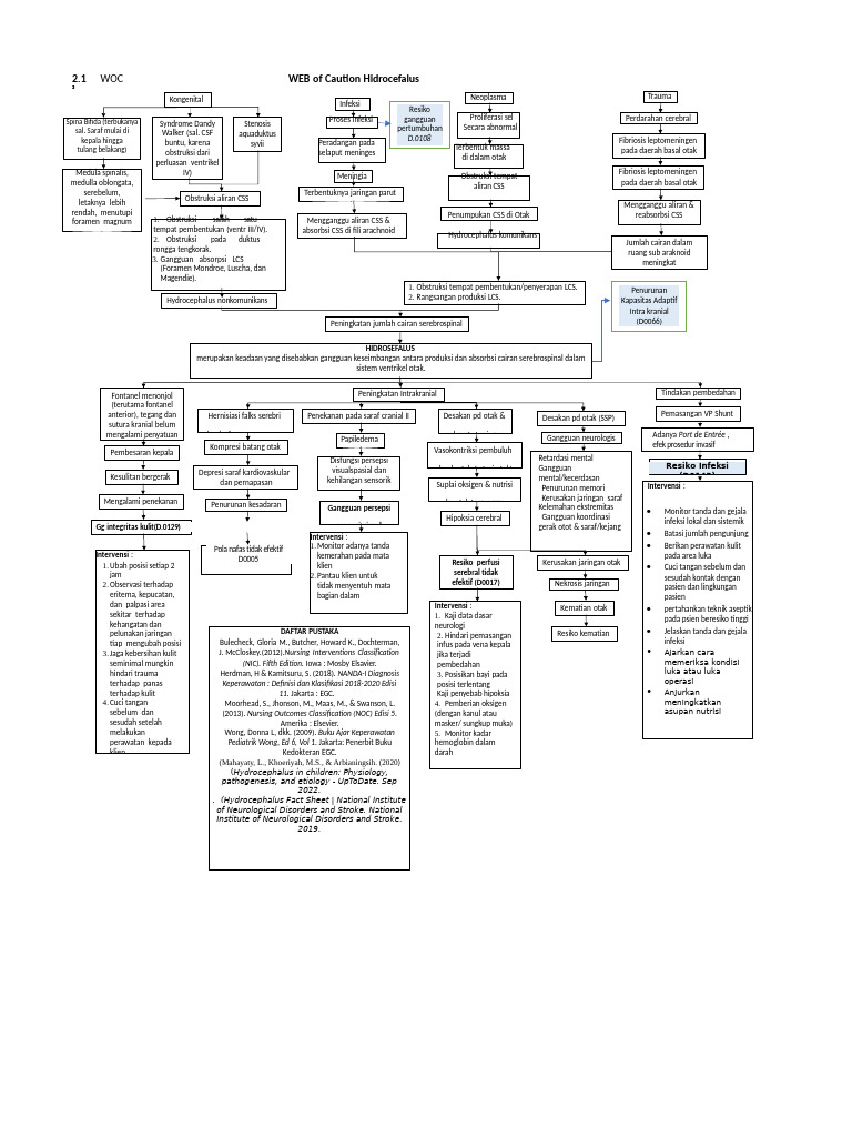 WOC WEB of Caution Hidrocefalus | PDF