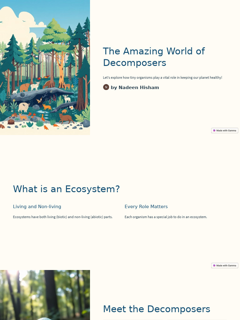 The Amazing World of Decomposers | PDF