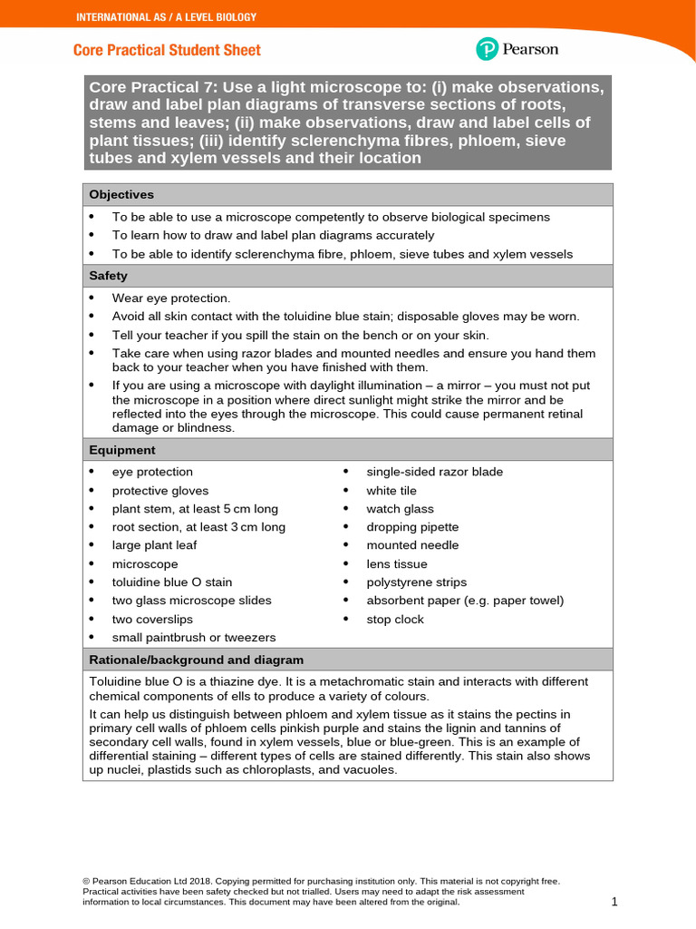 IAS Biology SB1 Practs CP7 Student | PDF | Staining | Tissue (Biology)