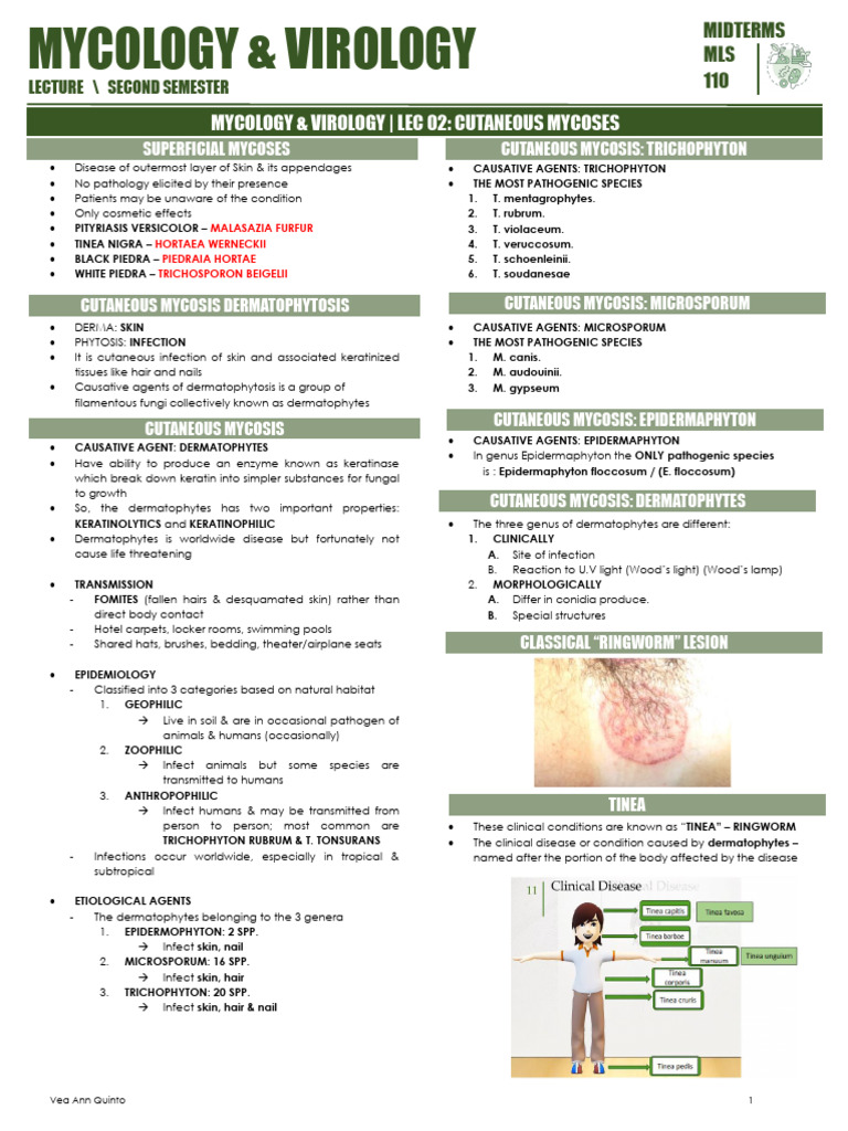Cutaneous Mycoses: Dermatophytes Overview | PDF | Immunology | Epidemiology