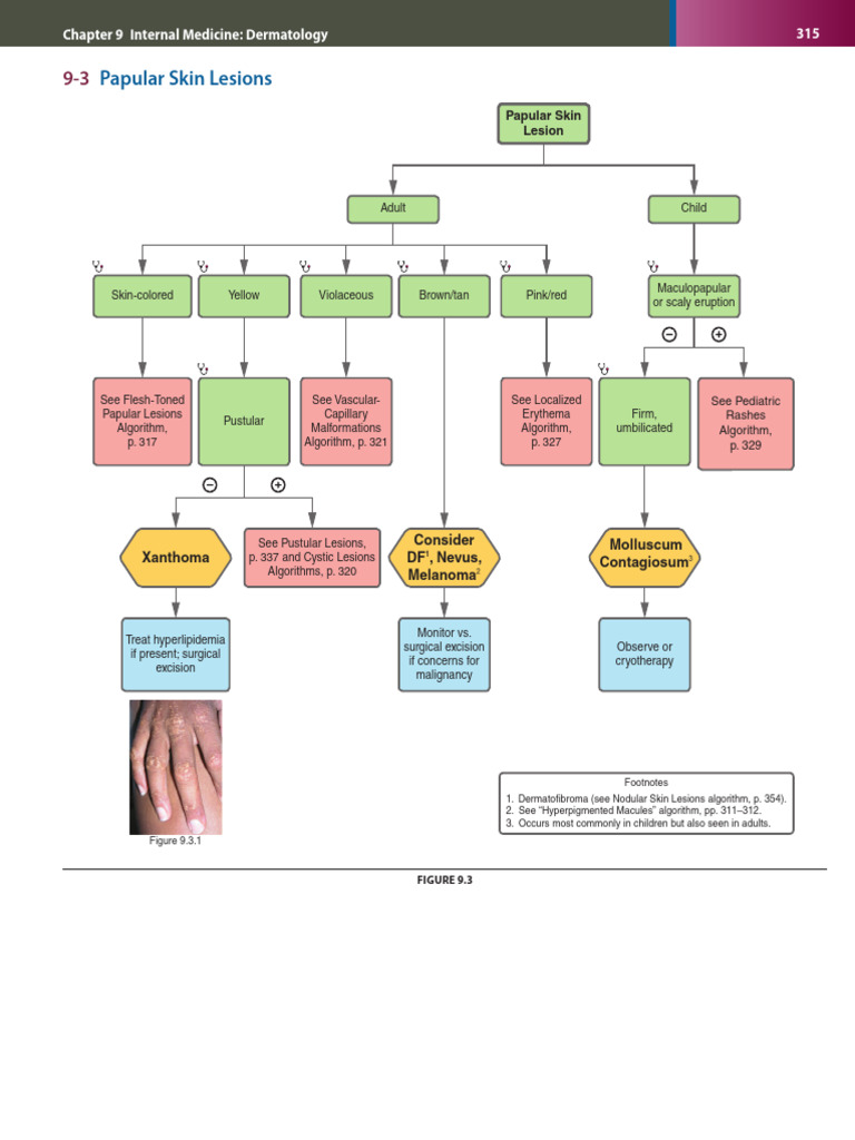 First Aid Clinical Algorithms For The USMLE Step 2 CK - Exported 2 | PDF | Medical Specialties ...