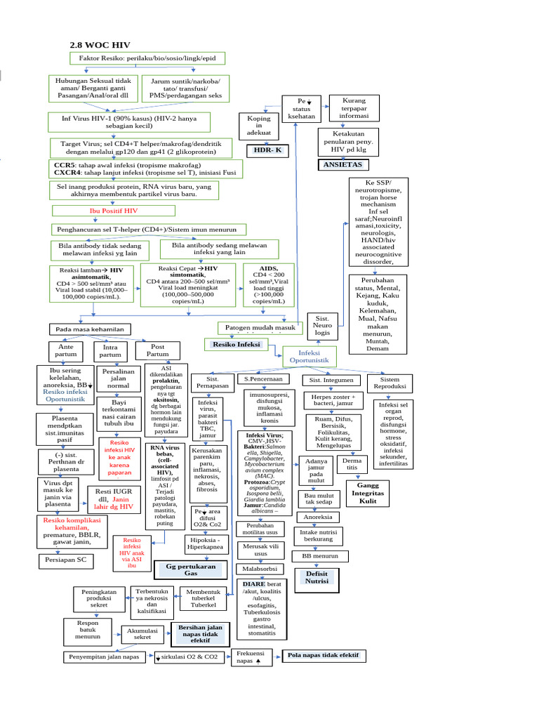 Woc Hiv 11122024 | PDF