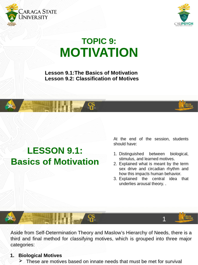 Lesson 9.2 Presentation | PDF | Circadian Rhythm | Libido