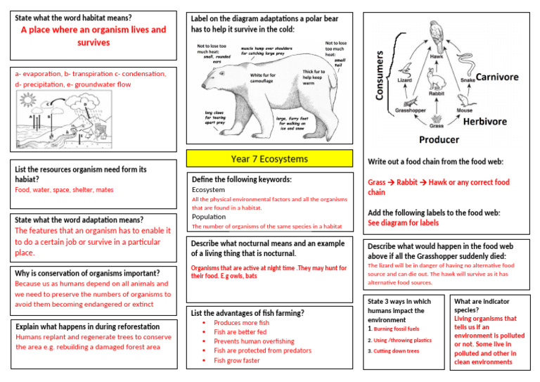 Ecosystem Revision Map Answers | PDF | Habitat | Natural Environment