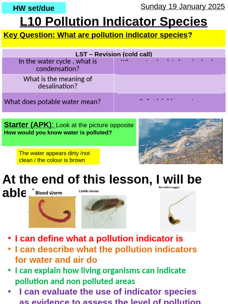 L9 Pollution Indicator Species new | PDF | Water | Pollution