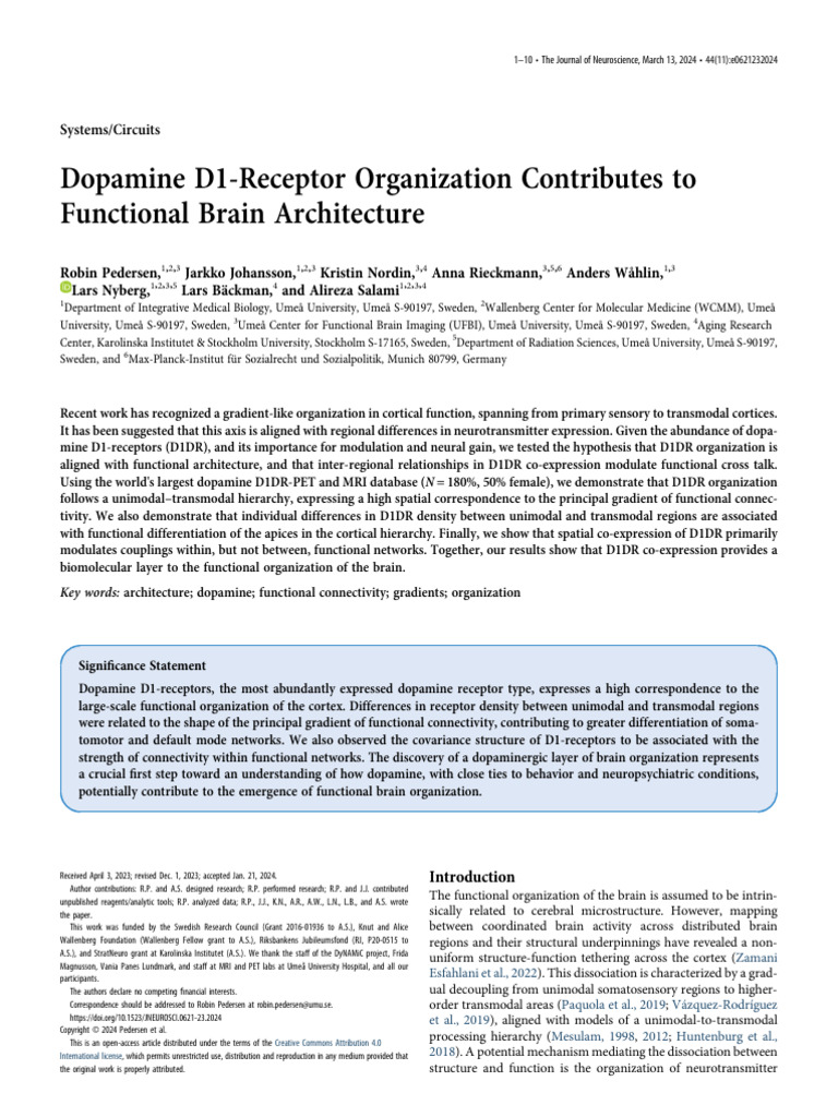 Dopamine D1-Receptor Organization Contributes to | PDF | Brain ...