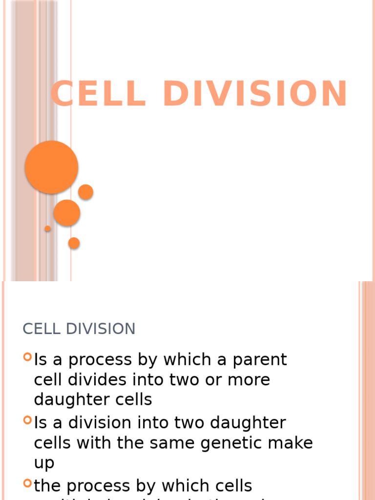 Cell Division Discussion - Cell Cycle and Mitosis Only | PDF | Mitosis ...