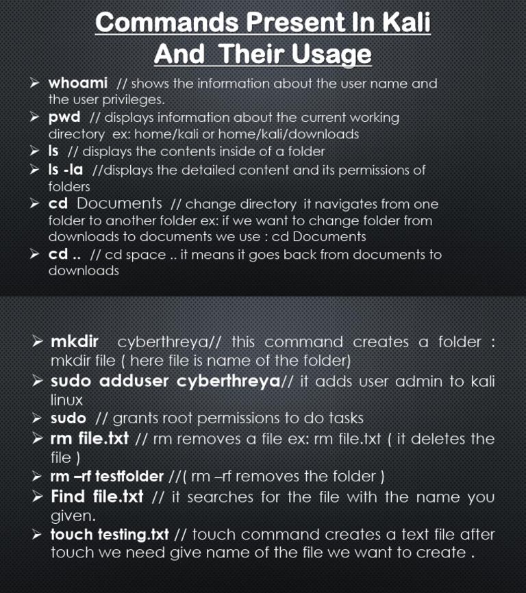 Kali Linux Command Basics | PDF