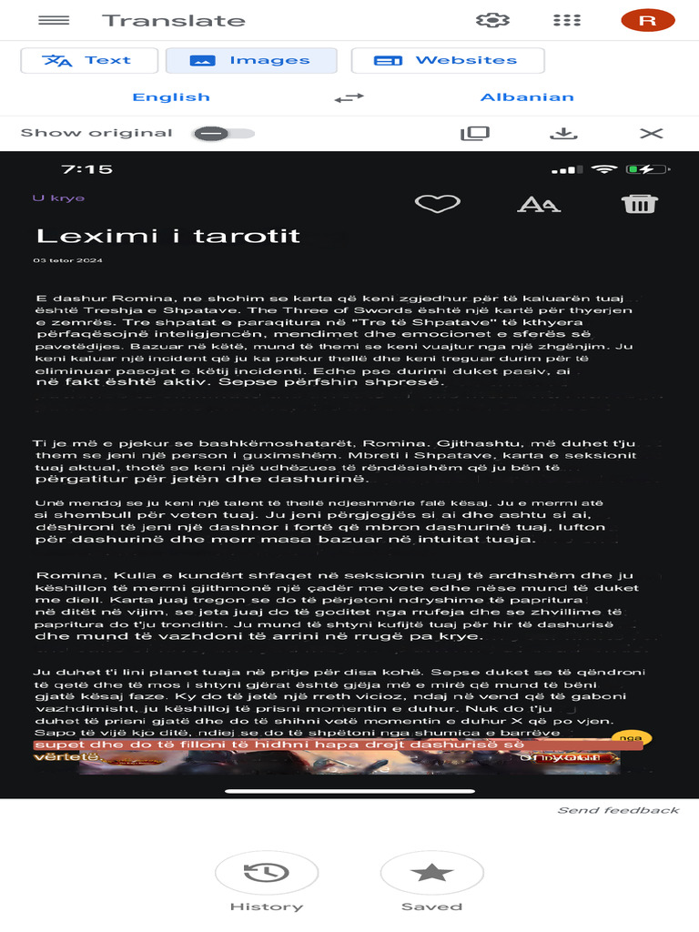 Google Translate | PDF