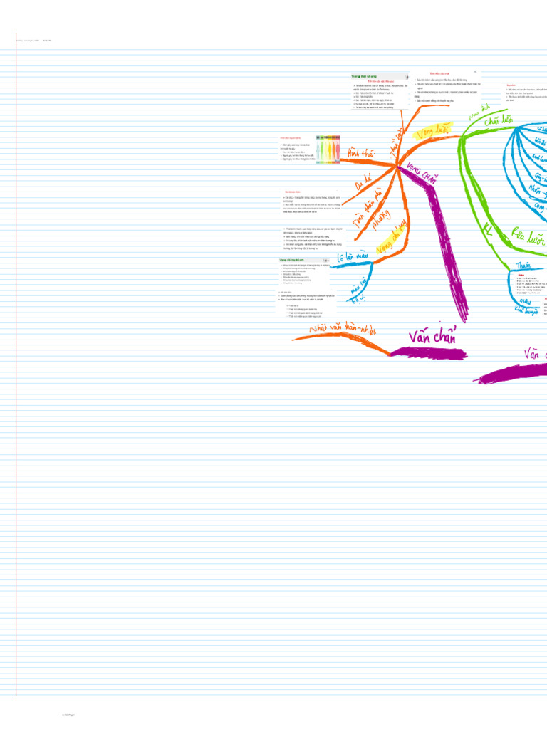 Mind Map | PDF