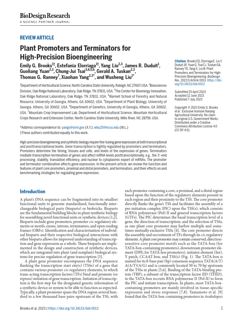 Plant Promoters and Terminators For High-Precision Bioengineering | PDF ...