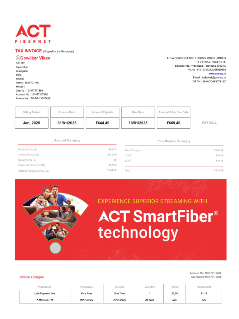 Internet Bill January 2025 | PDF
