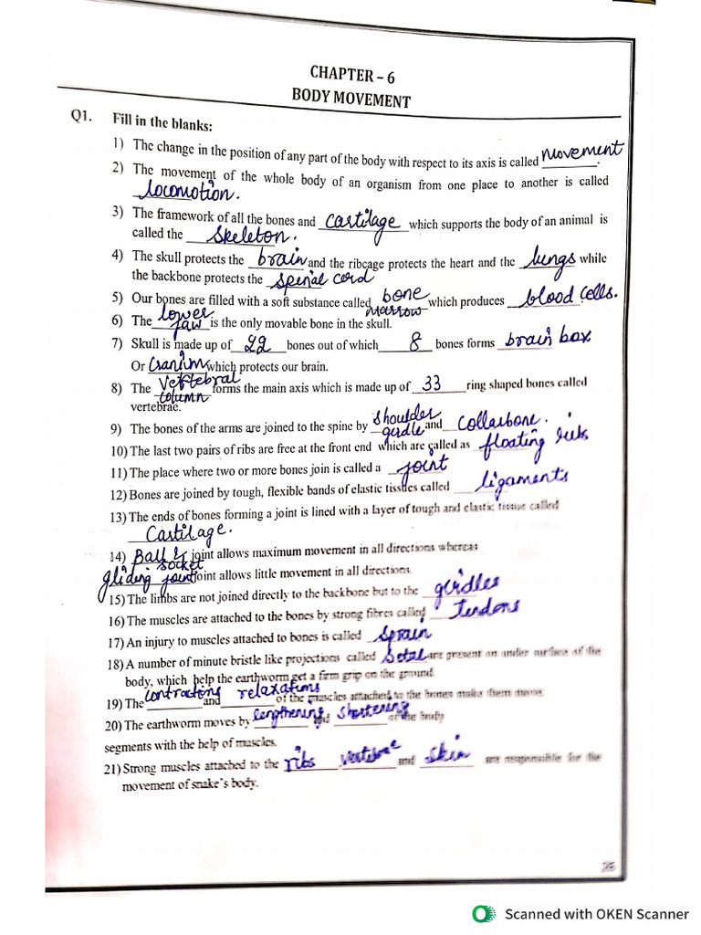 Body Movement Assignment Booklet Class 6 | PDF