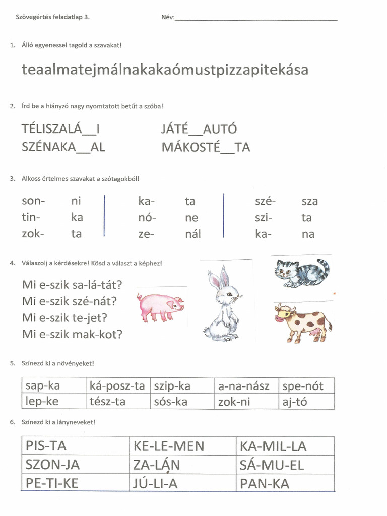Szövegértés Feladatlap | PDF