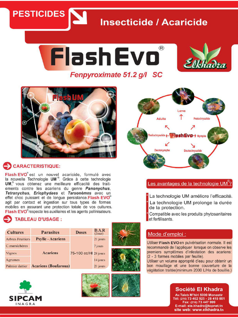 Flash Evo Recto | PDF