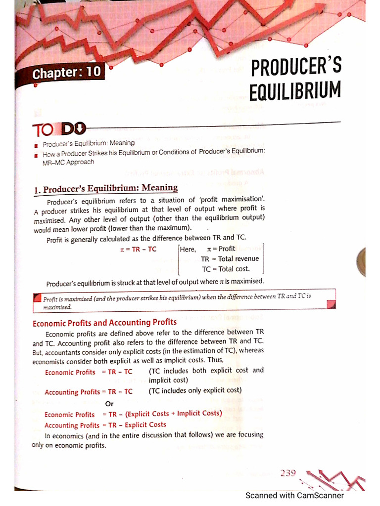 10.producers Equilibrium | PDF