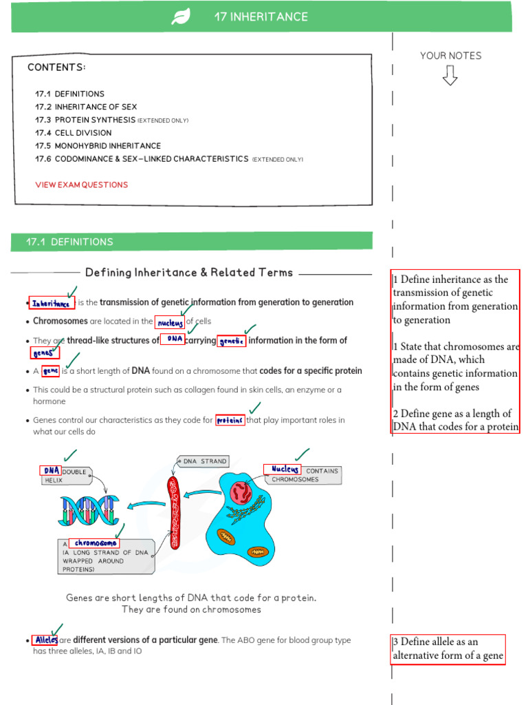 16. NOTES Chromosomes, Genes & Proteins. (Student_s Version) | PDF ...
