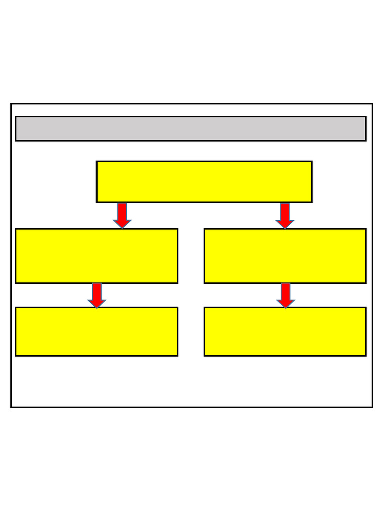 Organisation Chart | PDF