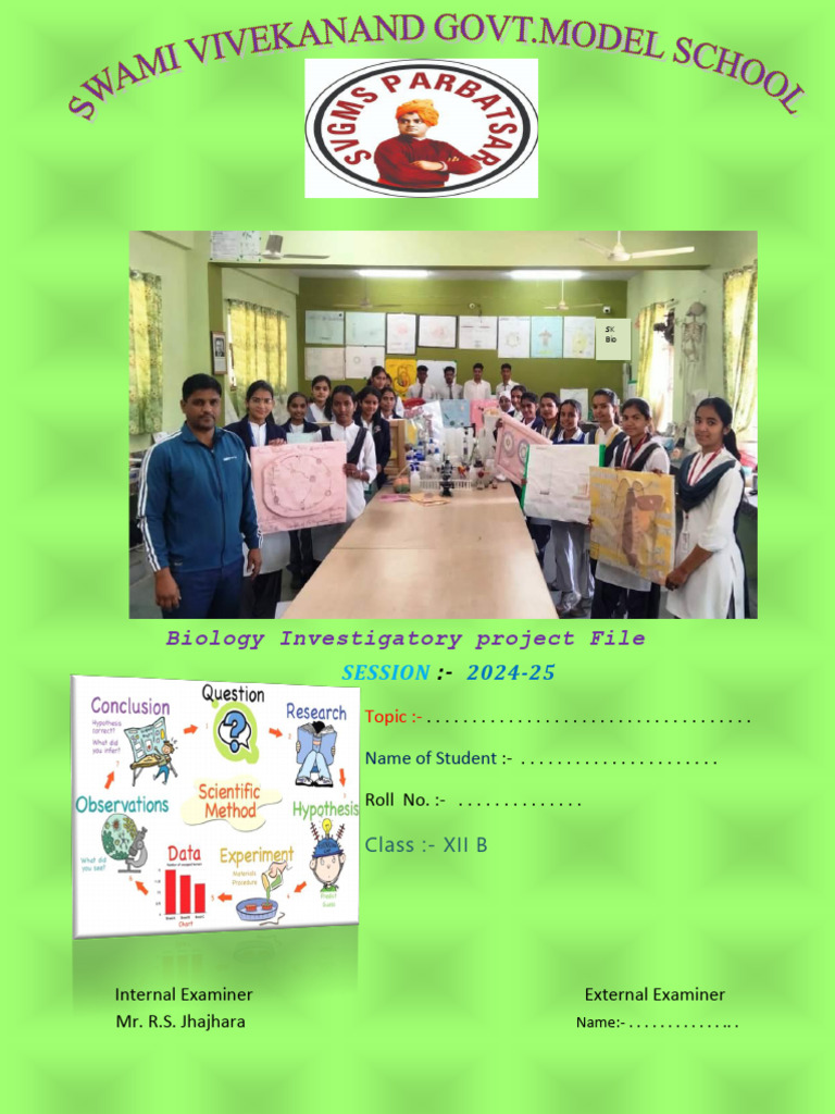 Project Page Model S K | PDF