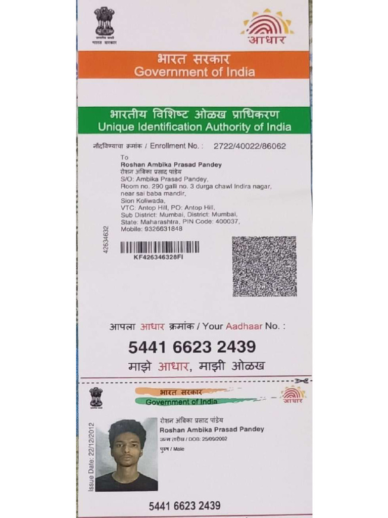 Roshan Pandey Details 2 | PDF