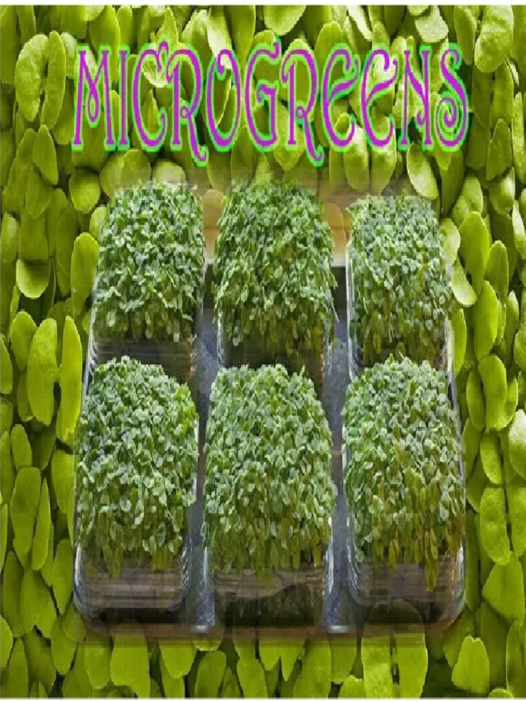 Microgreen | PDF