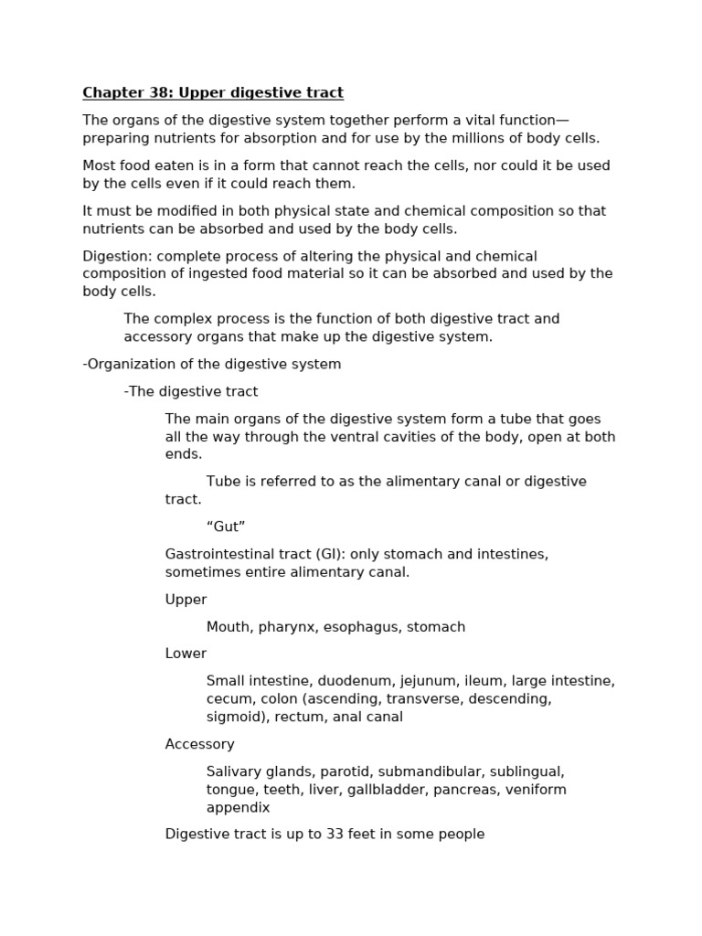 Upper digestive tract | PDF | Human Digestive System | Stomach