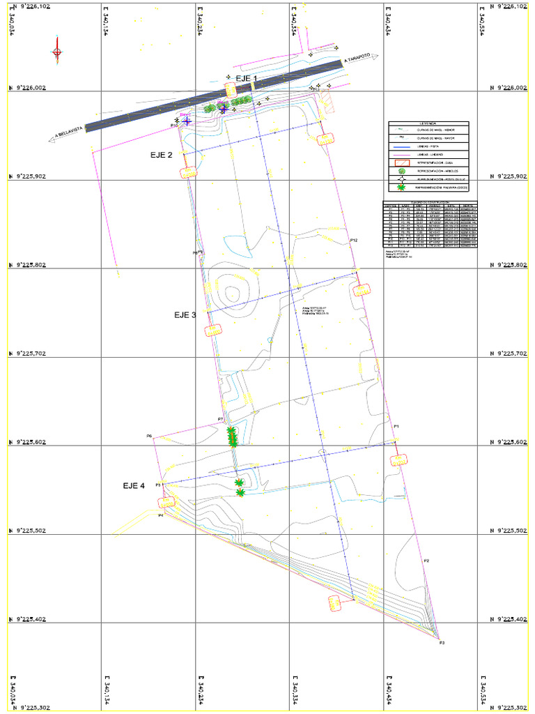 Planta | PDF