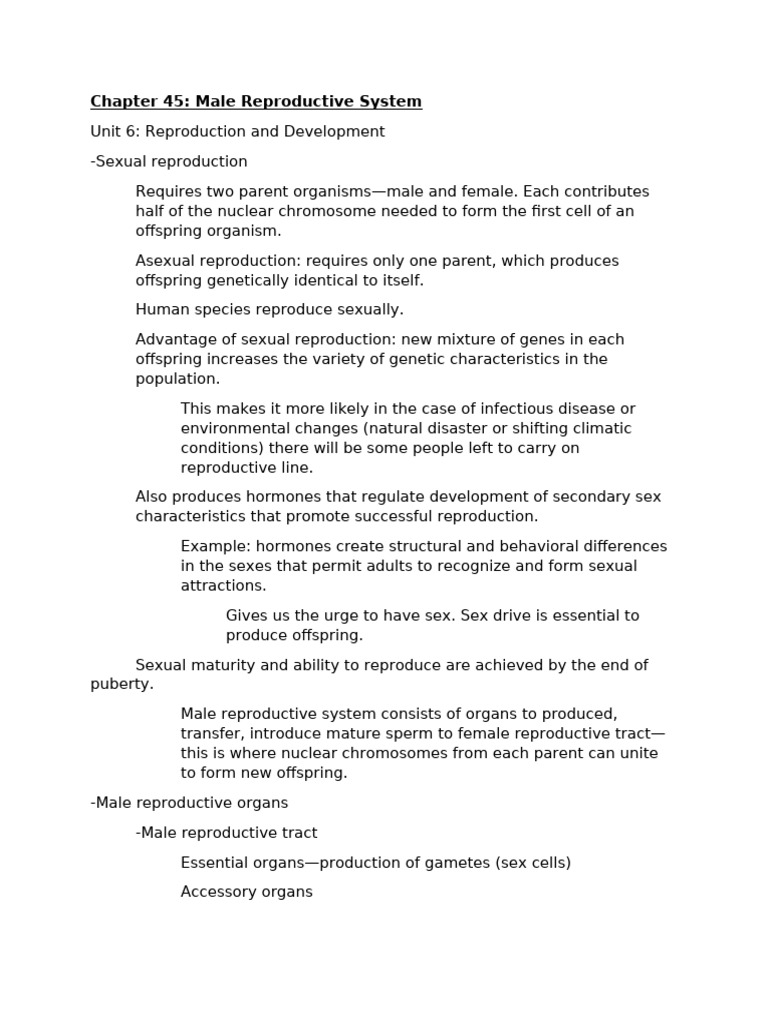 Male Reproductive System | PDF | Testicle | Reproductive System