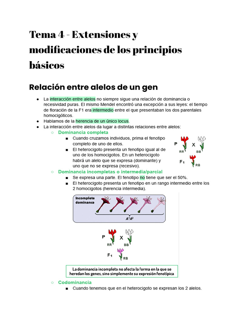 Tema 4 - Extenciones y modificaciones de los principios básicos | PDF