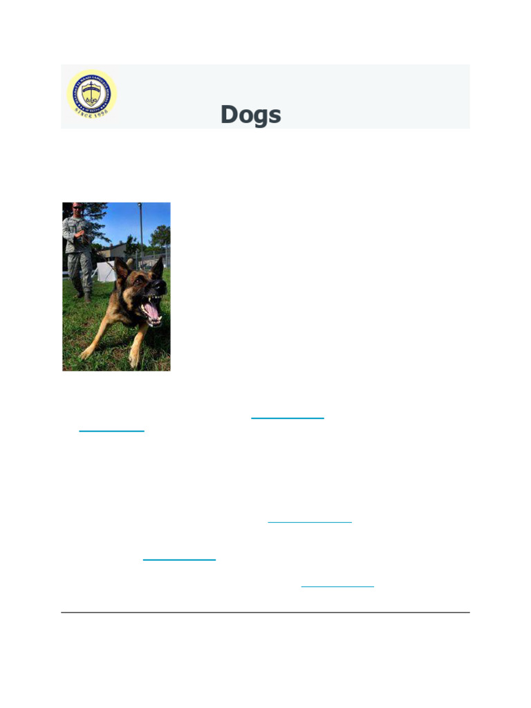 Overview of Dogs and Their Roles | PDF | Dogs | Human