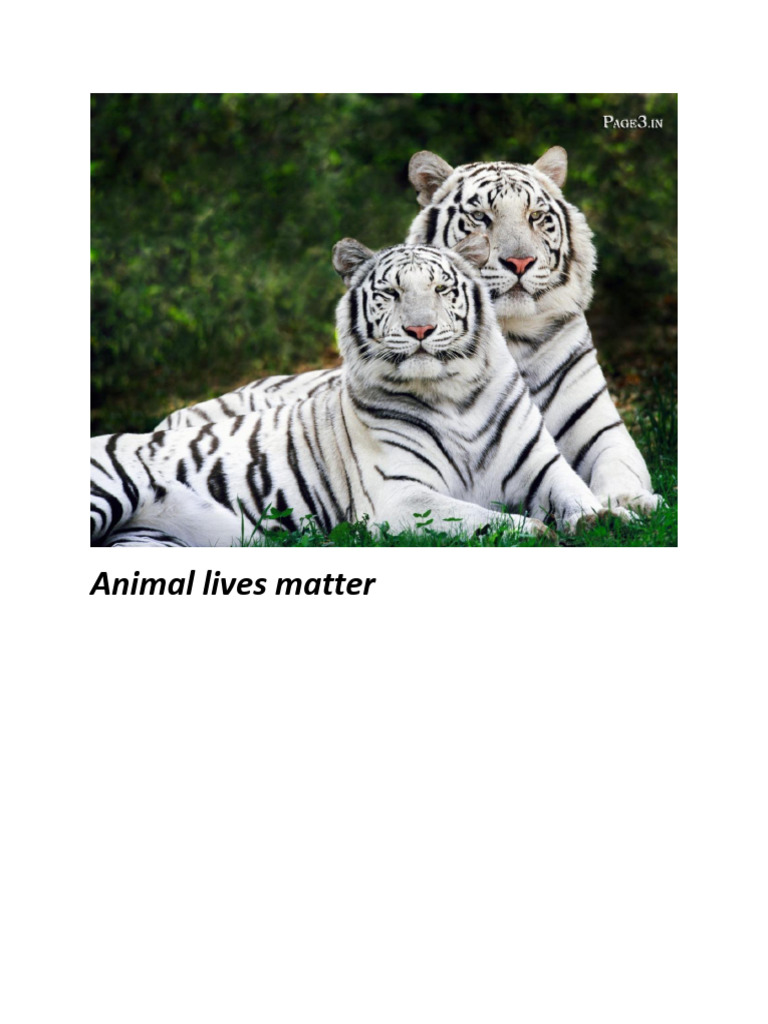 Animal lives matter | PDF | Return On Investment | Learning