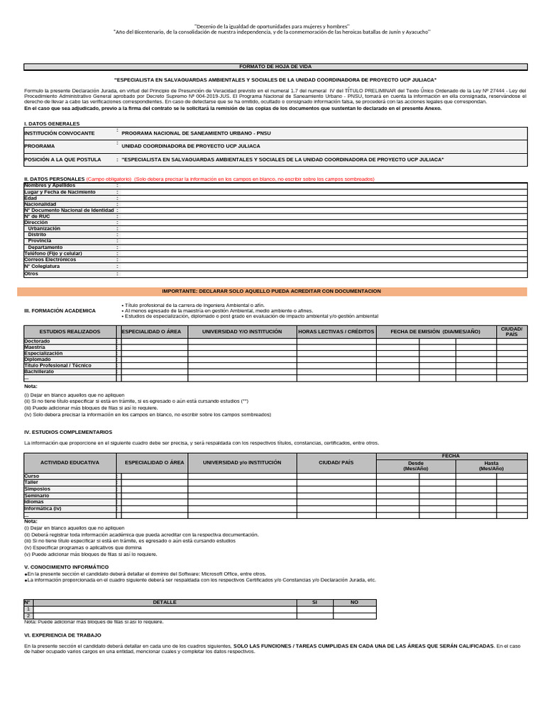 ANEXO N°02 - Formato de Hoja de Vida | PDF
