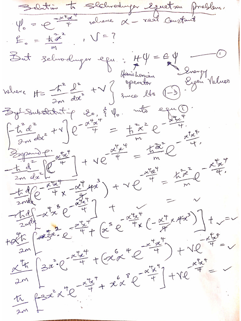 Schrodinger Exp | PDF