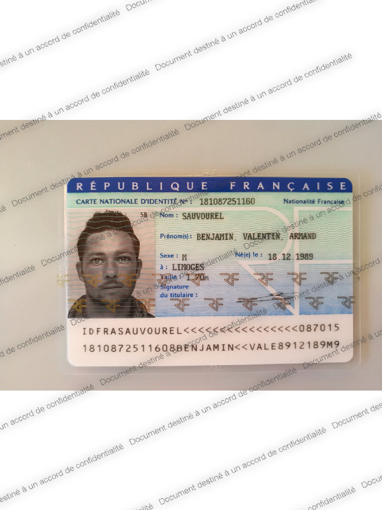 Benjamin Sauvourel Cni Passeport Filigrane | PDF