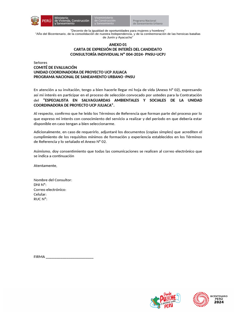 ANEXO N°01 - Carta de Expresión de Interés | PDF