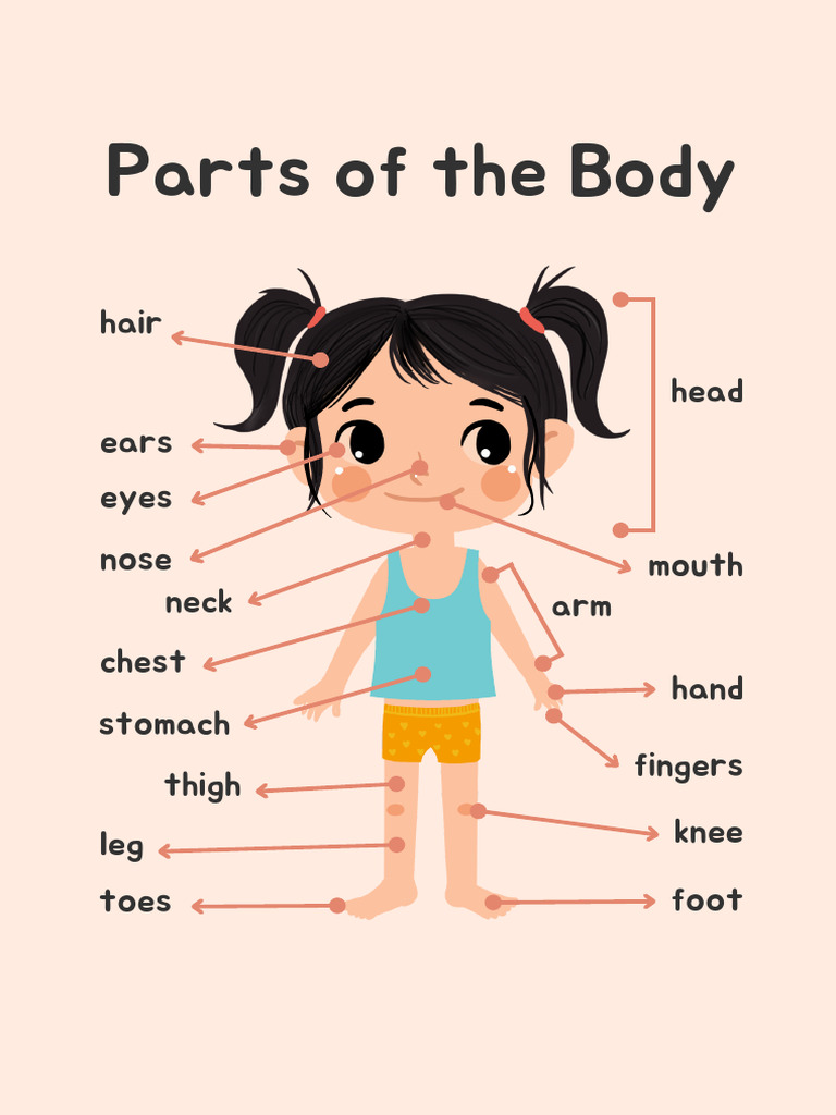 Pastel Pink Apricot Flat Graphic Parts of The Body Portrait Educational ...