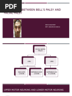 Understanding Joint End Feel Types | PDF | Elbow | Anatomical Terms Of ...