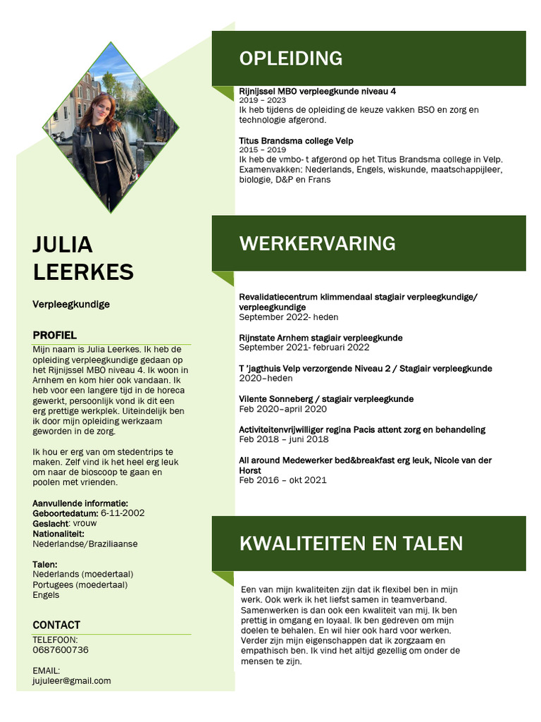 CV Julia Leerkes | PDF