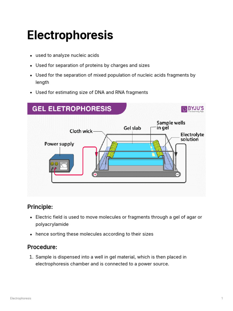 Electrophoresis | PDF