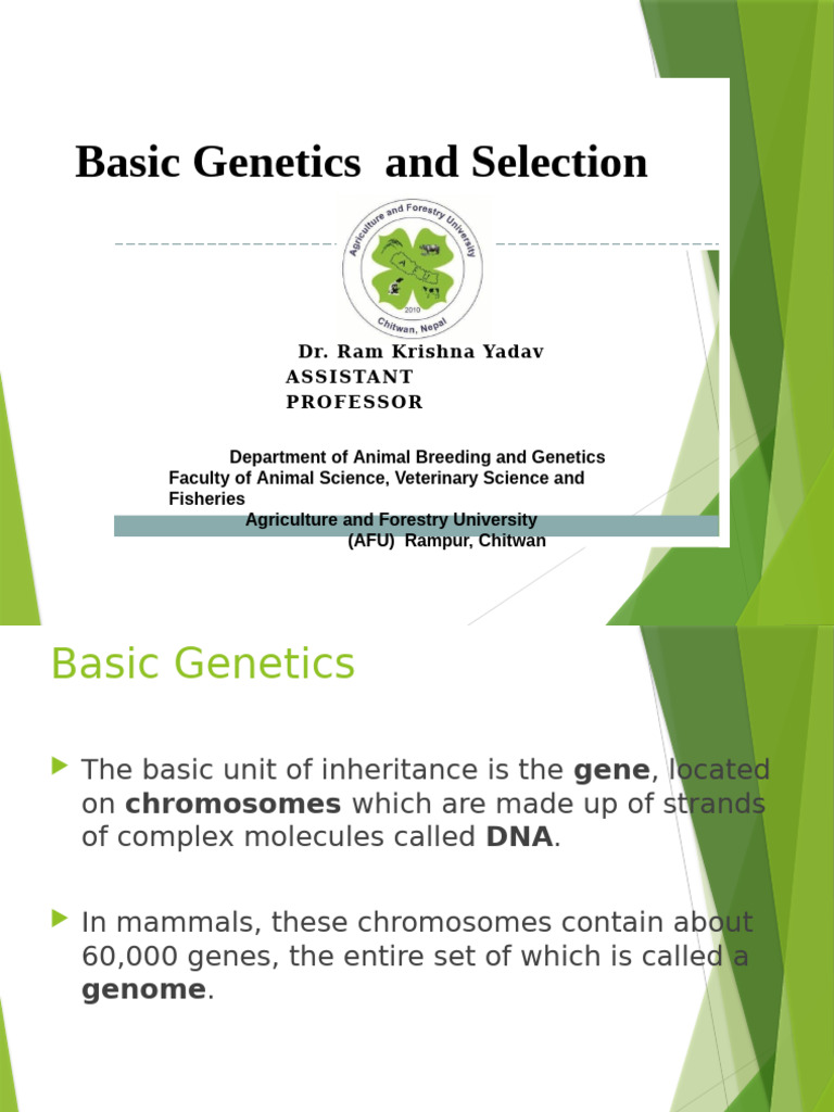 Genetics and Selection in Animal Breeding | PDF | Heritability ...