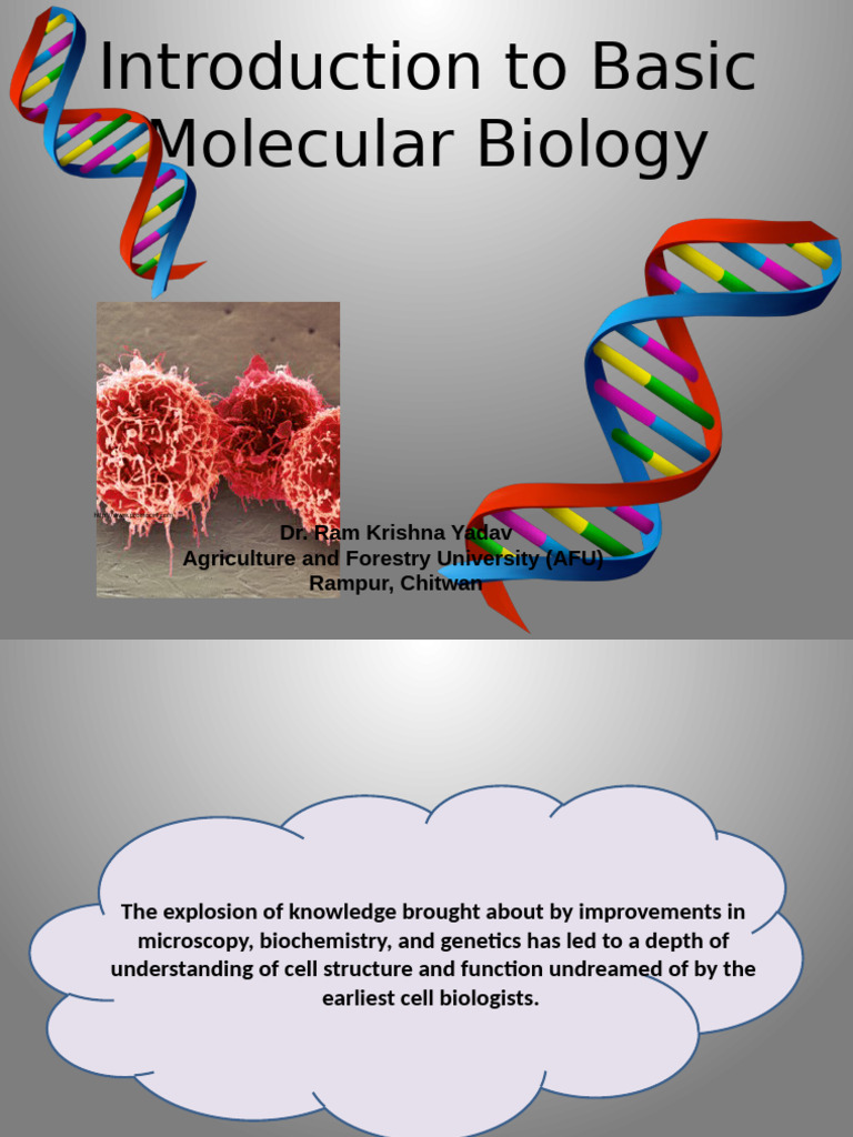 Introduction to Molecular Biology | PDF | Cell (Biology) | Dna