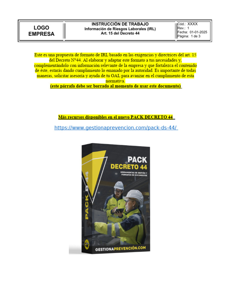 FORMATO IRL (Ex ODI) | PDF