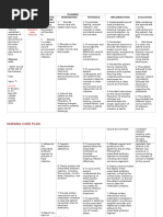 Nursing Care Plan Risk For Injury | PDF | Wound | Infection