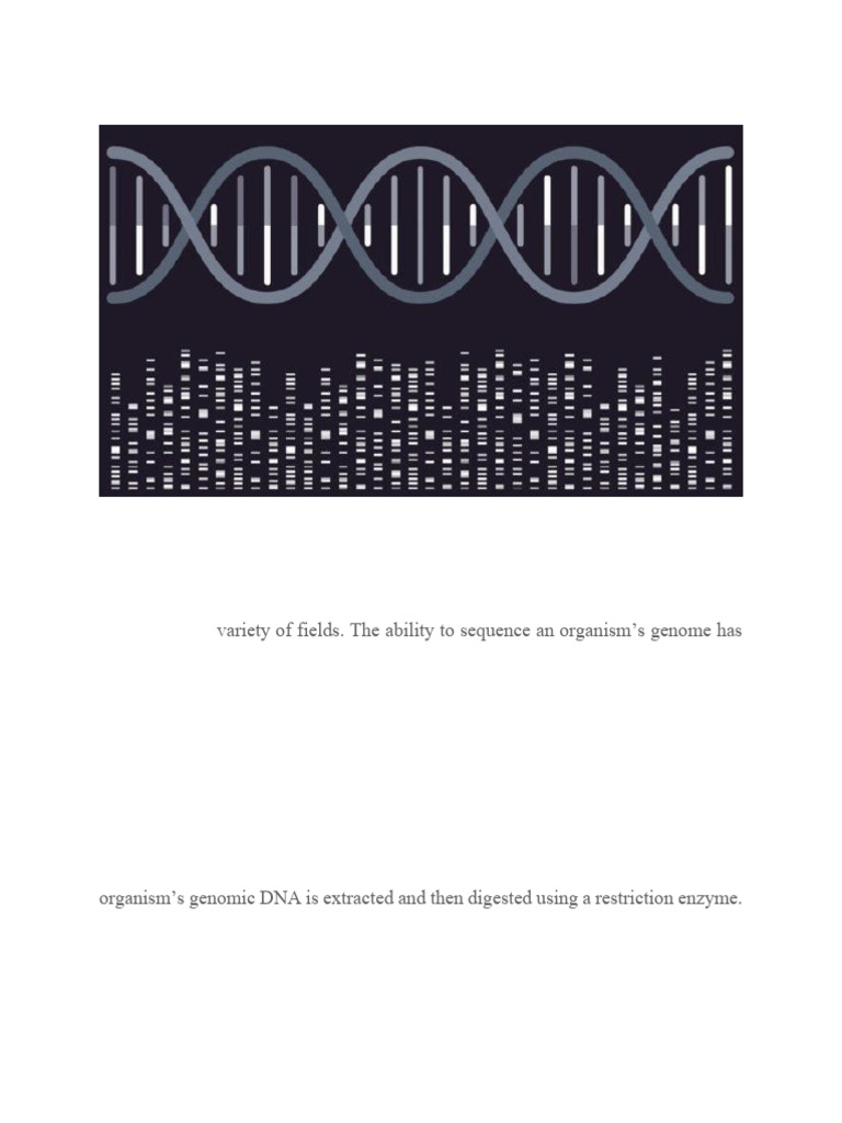 Construction of Genomic Library | PDF | Plasmid | Vector (Molecular ...