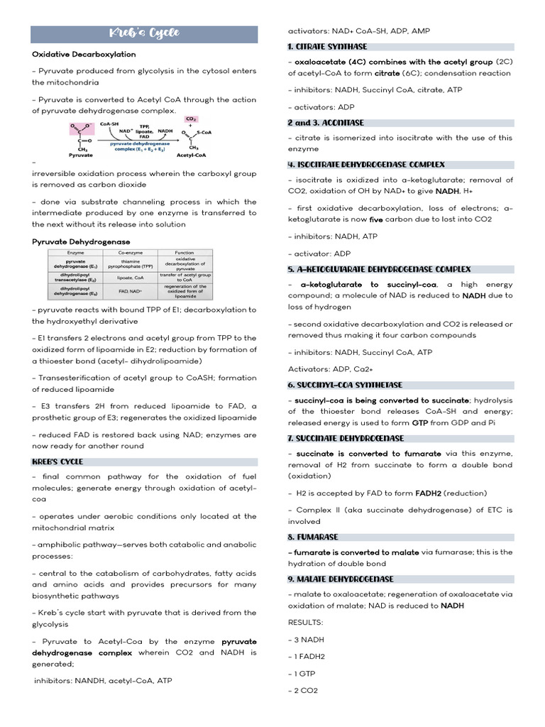 Krebs Cycle | PDF | Citric Acid Cycle | Chemistry